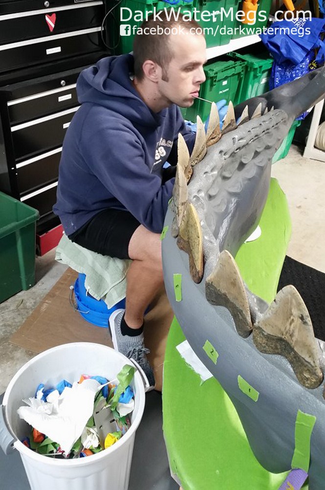 Megalodon Jaw - Fossil Megalodon Shark Jaw - For Sale